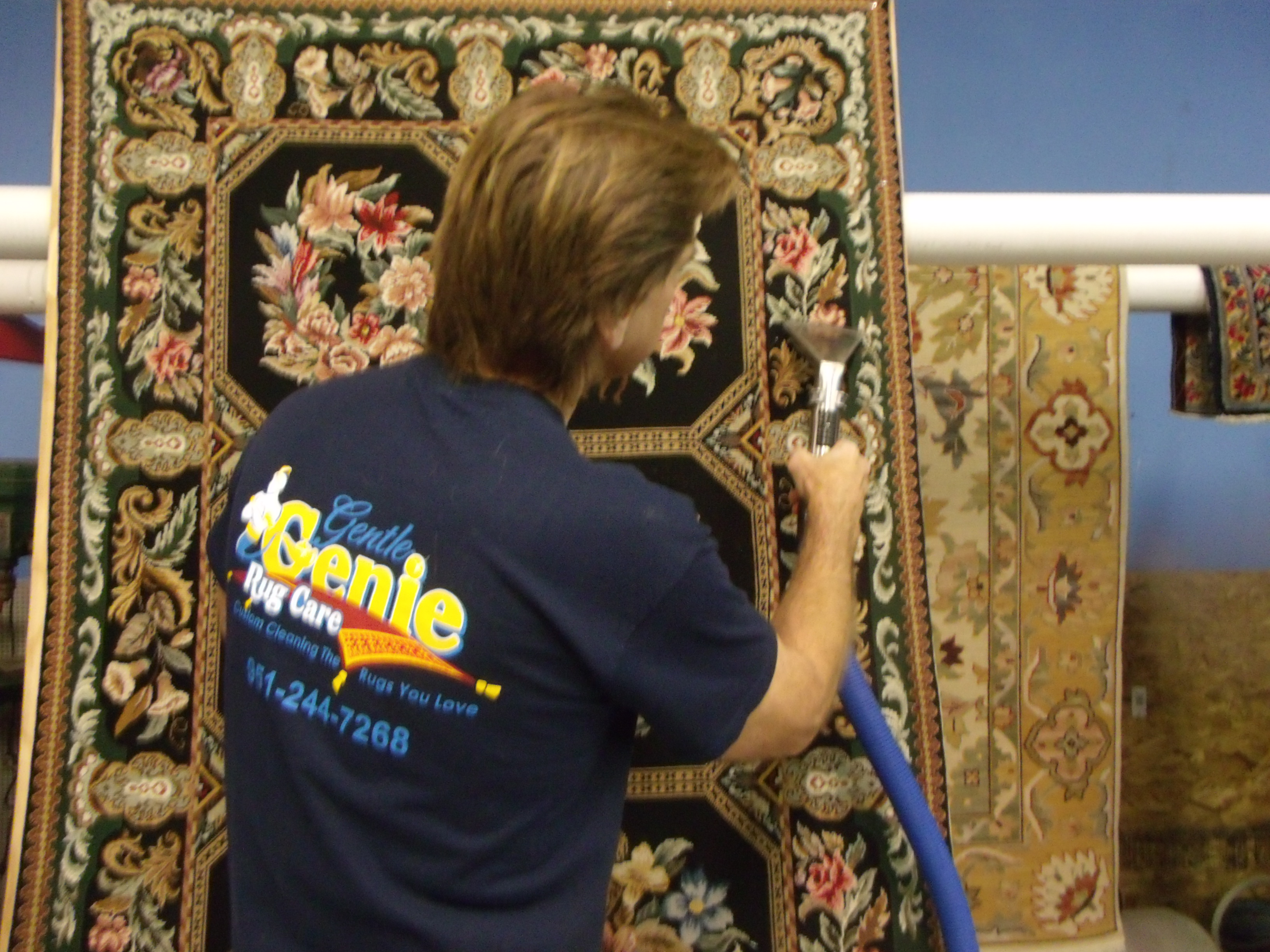 Rug Moth & Insect Protection | Prevent Rug Damage & Bugs